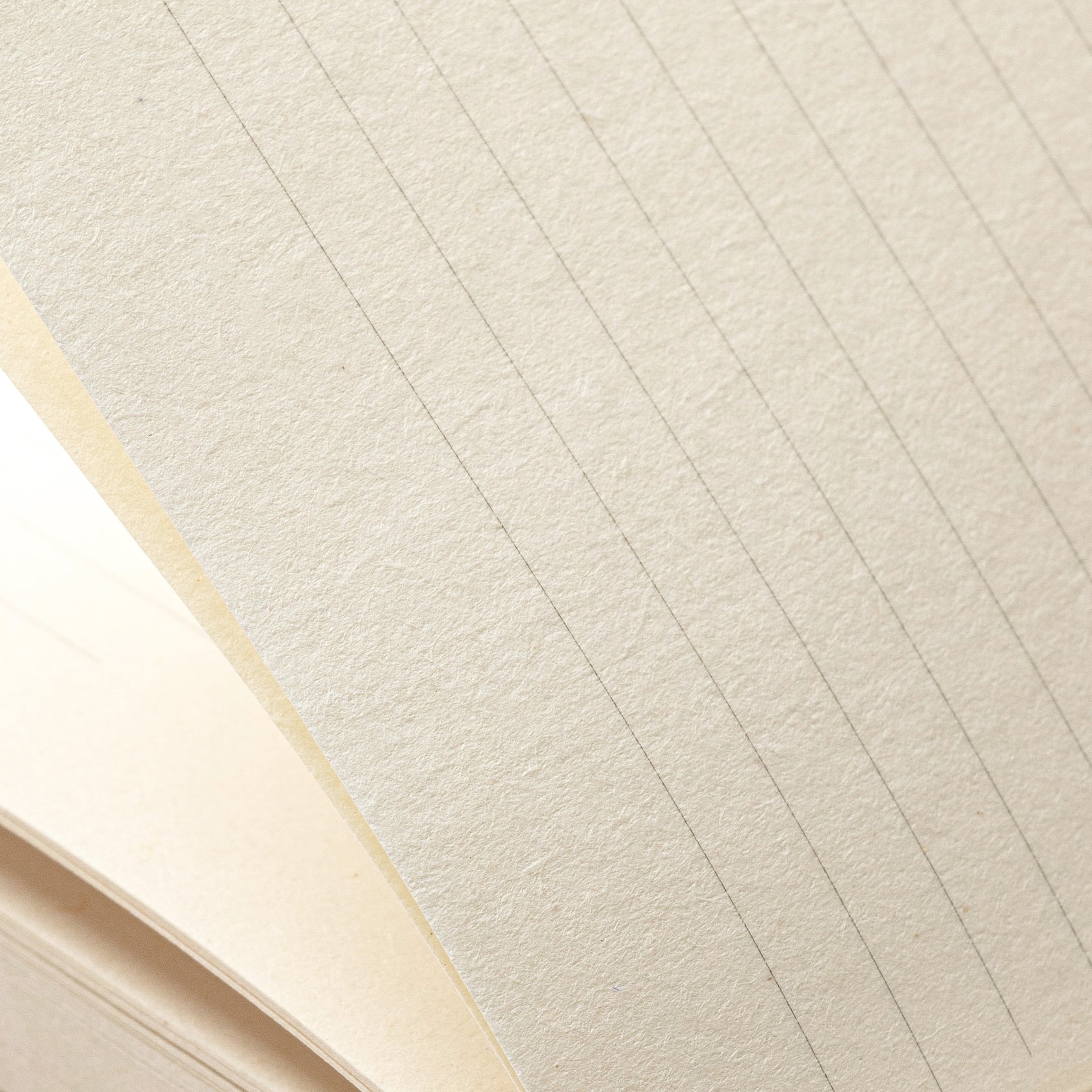 basenotes Tracker Notebook | Stay Organised Daily